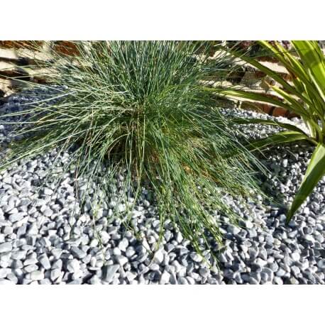 Light Grey Pebble 6-12 bag 20 Kg